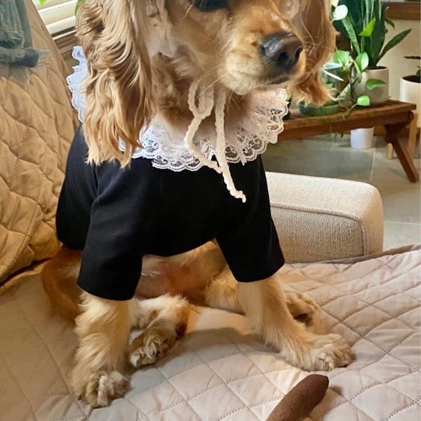 Squeaky Gavel Dog Toy - Etsy