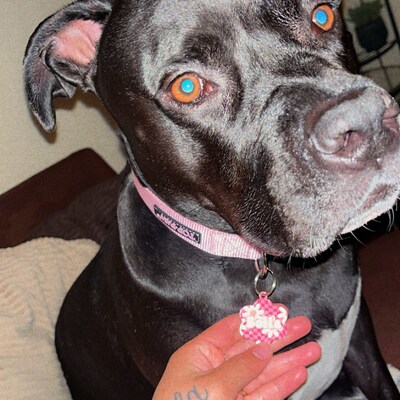 Retro Smiley Dog Tag Retro Dog Tag Pet Tag Custom Dog Tag Personalized ...