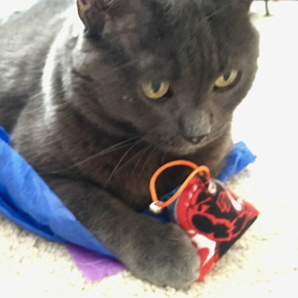 Curtis LEM Lemansky the Shield Strike Team Custom Funko Pop Vinyl ...