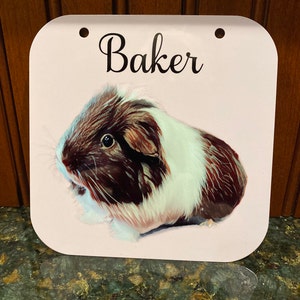 Guinea Pig Name Tag, Guinea Pig Accessories, Pet Tag, Guinea Pig ...