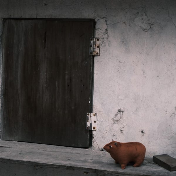 Rock Hyrax #1 - Rock Badger - Cape Hyrax - Dassie - 1 Pc - Soft Toy ...