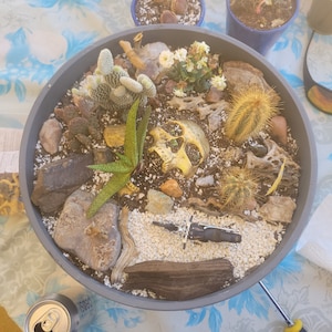 Blue Dragon MINIATURES Tiny Figures Figurines Dollhouse - Etsy