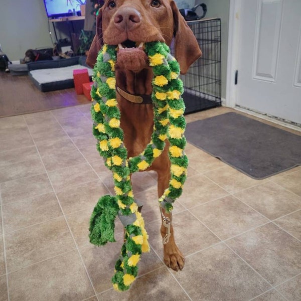Custom Handmade Fleece and Minky Dog Leash - Etsy