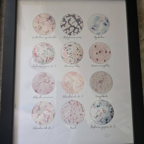 Microbe Collection, Bacteria, Bacteria Art, Science, Science Art ...