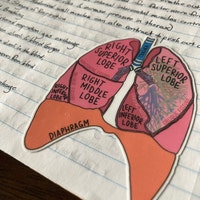 Labeled Digestive System Diagram Sticker Hand-drawn - Etsy