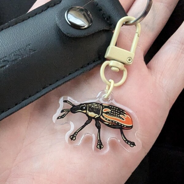 Mystery Mini Weevil Acrylic Keychain / Insect Charm / Accessory - Etsy