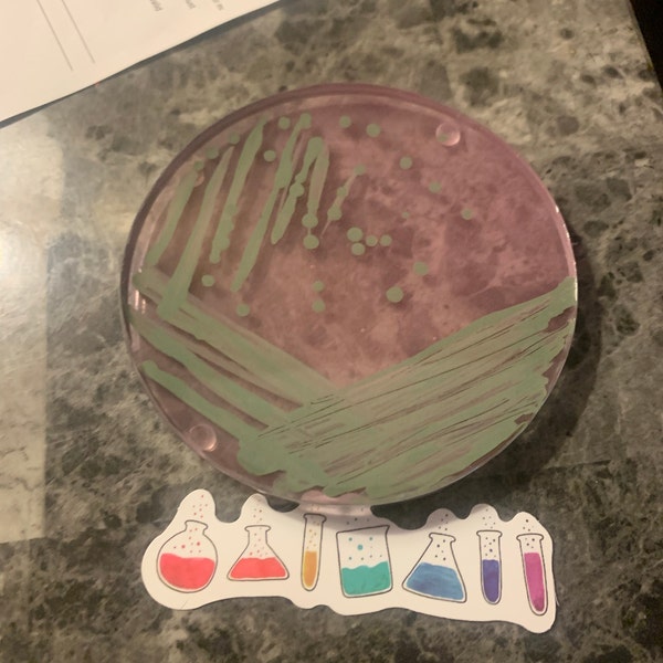 Medical Technologist Coasters Clinical Lab Science Microbiology ...