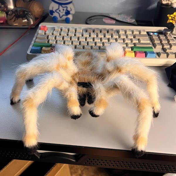 Realistic Tarantula Spider, Poseable Shelf Decor, Wall Mountable Faux ...