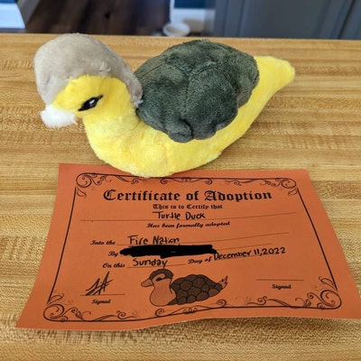 Turtle Duck Realistic Plush Hand-sewn - Etsy