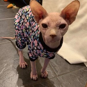 Sphynx Cat Clothes Sphynx Jumper Sphynx Sweater Sphynx - Etsy