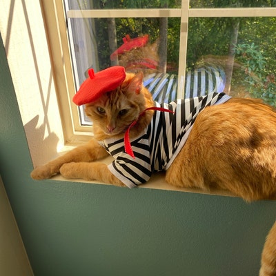 Complete French Cat Outfit Cat Beret, Ascot and Striped Shirt Pet ...
