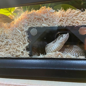 XL Hoggy Hide. Burrow Hide. Snake Hide for Western Hognose, Colubrids ...