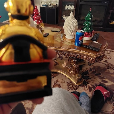 Large Rose of Jericho Resurrection Plant Rosa De Jerico Reviving House ...