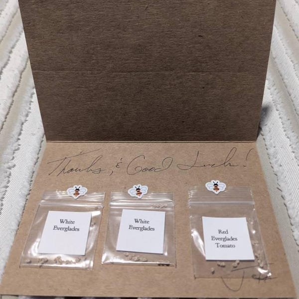 Vilma Micro Dwarf Tomato Seeds Florida Heat Friendly - Etsy