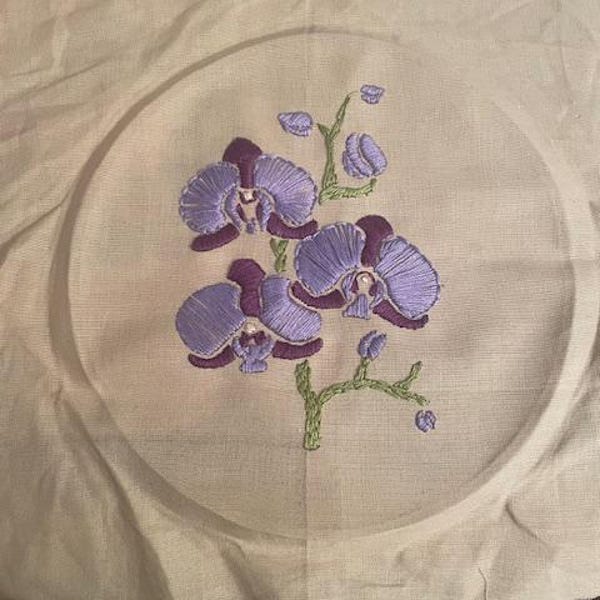 Hand Embroidered Beetle. 3" Hoop. Custom Color. Hand Embroidery. Garden ...