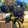 Hydrangea Stained Glass Window Cling Beautiful Flower Window Artwork ...