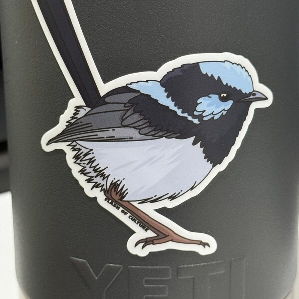 Kiwi Bird Sticker, Kiwiana Sticker, Native Birds From New Zealand, NZ ...