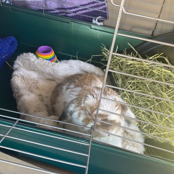 Luxury Small Pet Sling With Plush Faux Fur, Bunny Sling, Pet Travel ...