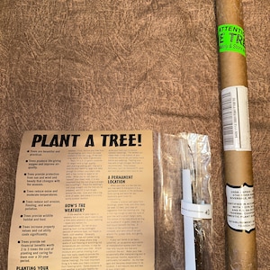 Christmas Tree Seed Grow Kit the Jonsteen Company - Etsy