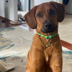 Personalized Deputy Police Law Enforcement Badge for Collar With ...