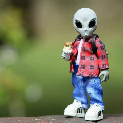 Planet Nendoroid DIY Brain Products Nendoroid Custom Face Nendoroid ...