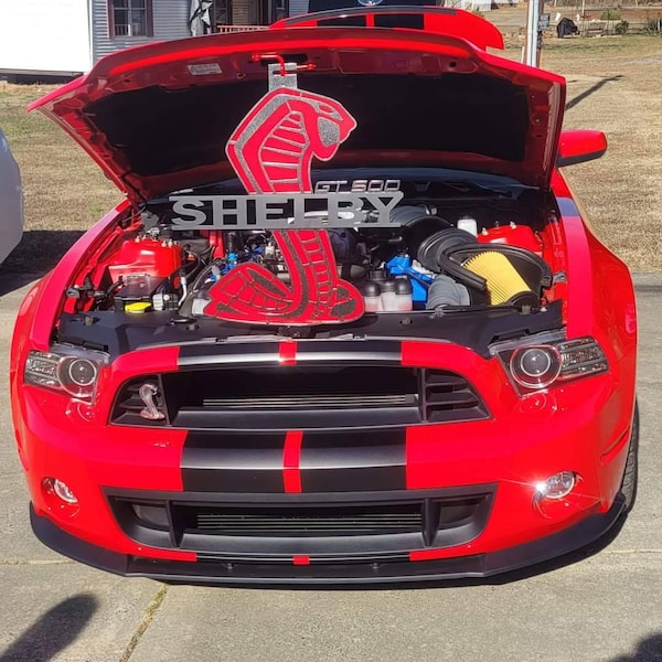 2016-2022 GT500 / GT350 RADIATOR COVER PLATE White and Blue Metallic - Etsy