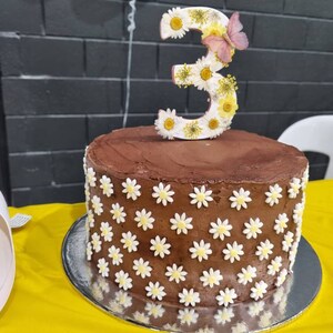 Skull Decomposed Zombie Cake Topper Edible Fondant Cupcake - Etsy