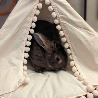 Rabbit House Teepee Canvas Small Pet Bed Bunny Tipi Guinea Pig Tee Pee ...