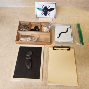 Loose Parts Insect/bug Exploration Build a Bug Fine Motor | Etsy