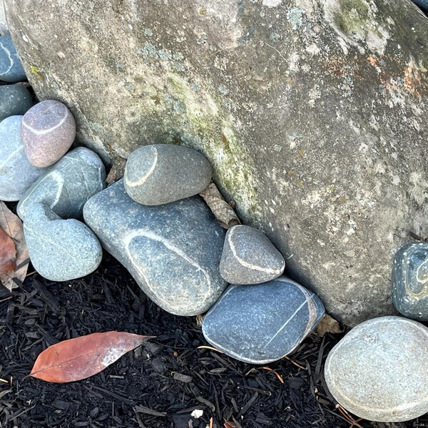 Bulk Genuine Wishing Stones Natural Colored Striped Sea Wish Unpolished ...