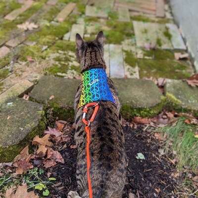 Safetykatz Walking Jacket Red Custom Made Cat Reversible - Etsy