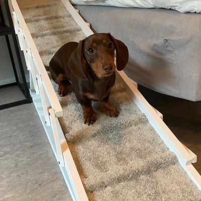 Pet Ramp With Foldable Rails 4 Height Levels Adjustable Steps - Etsy