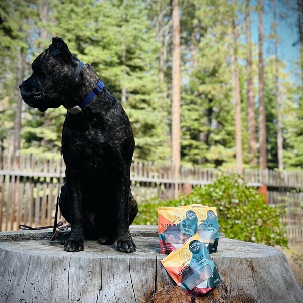 Ruff Food Real Meat Food Freeze Dried Meals for Dogs. Adventure Real ...