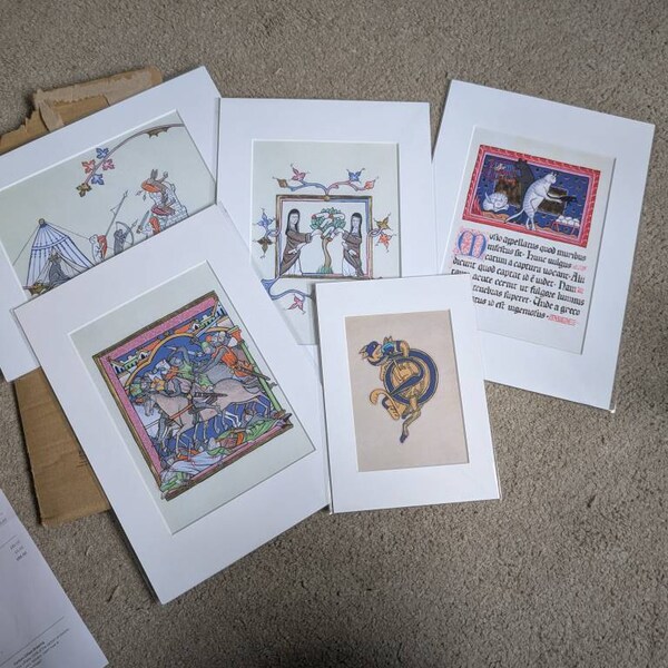 Embroidery Kit - Medieval Dragon Marginalia - Etsy