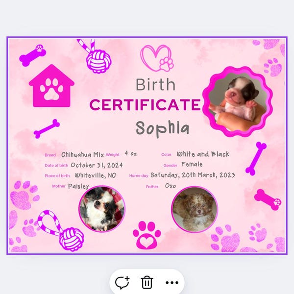 Earthy Boho Rainbow Student Desk Plates | Classroom Name | Decor ...