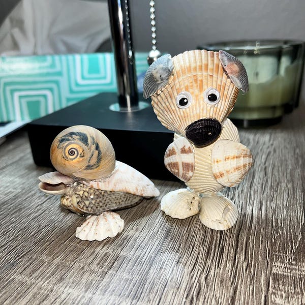 Seashell Animal Art - Tina the Turtle - Etsy