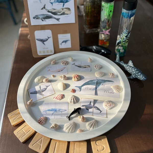 SEA Animal Mega Bundle - MULTI AGE Pack - Etsy