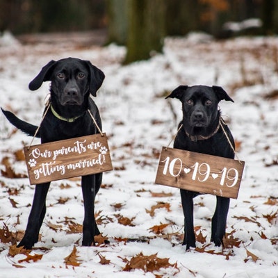 Our Parents Are Getting Married Sign-save the Date-save the Date Dog ...