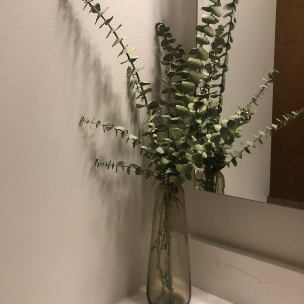 Fresh Living Eucalyptus Bunch Greenery Home Decor Wedding House Warming ...