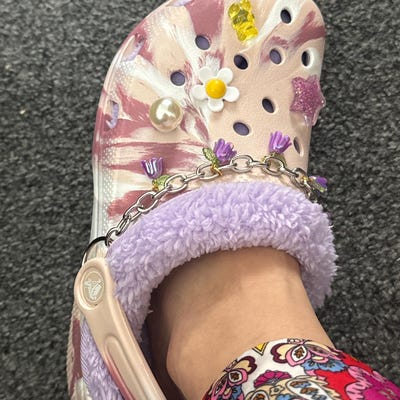 Cute Cartoon Shoe Buckles Set With Chain,crystal Animal Shoe Charms ...