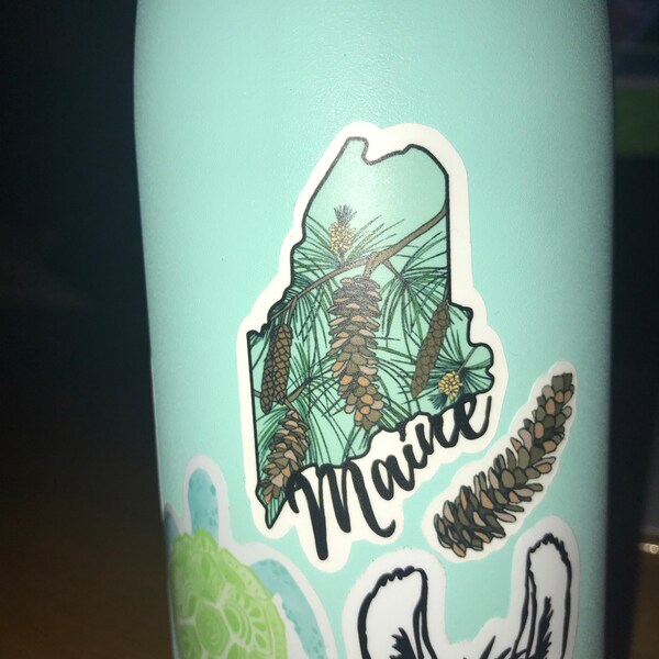 Maine State Flower Waterproof Vinyl Sticker | Matte Bumper Sticker ...