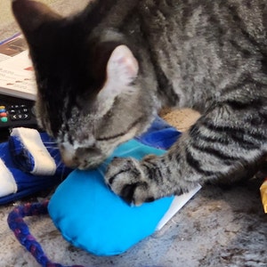 Pico De Gato 1oz Resealable Package of Super Potent Catnip - Etsy