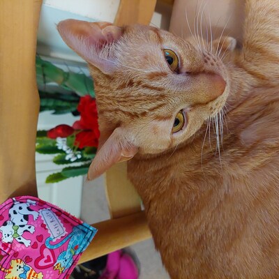 Good Luck Kitchen Witch Magnet Ornament, Kitchen Witch, Vintage OOAK ...