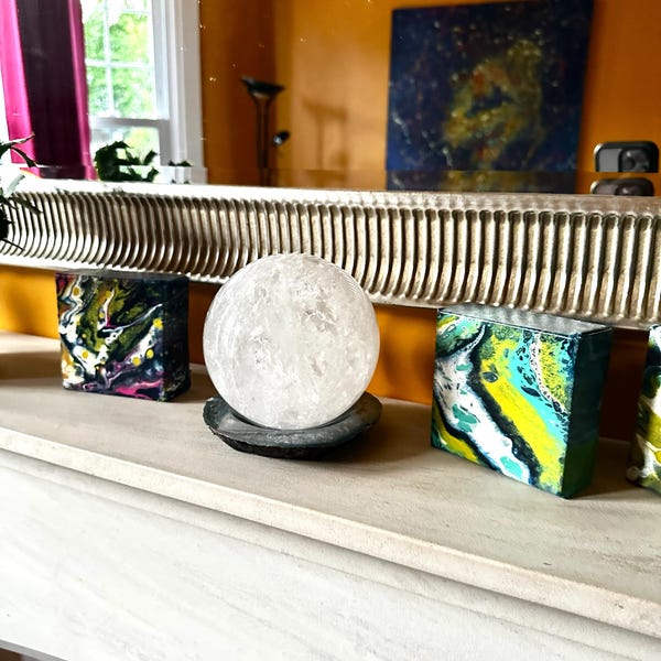 Ammonite Disc Fossil Conch Specimen+free Stand，spiral Shell Fossil ...