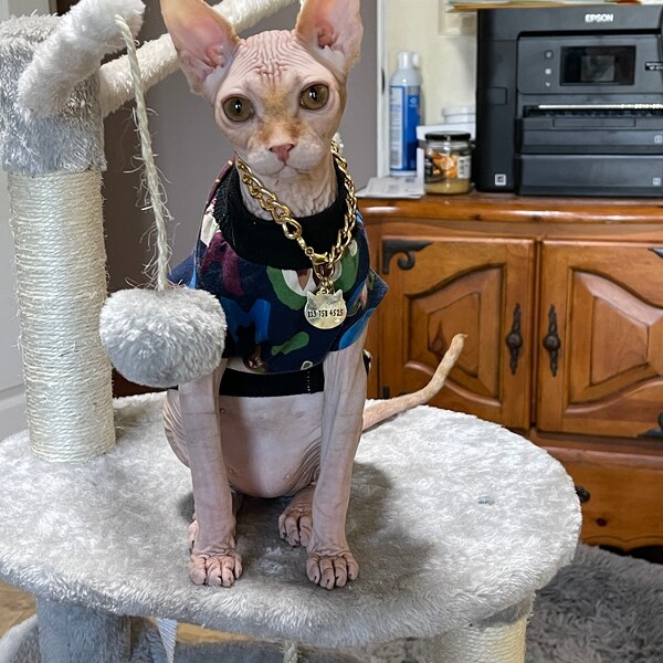 Personalized Pet Necklace, Jewelry for Cats, Chains for Pets, Cat Head ...