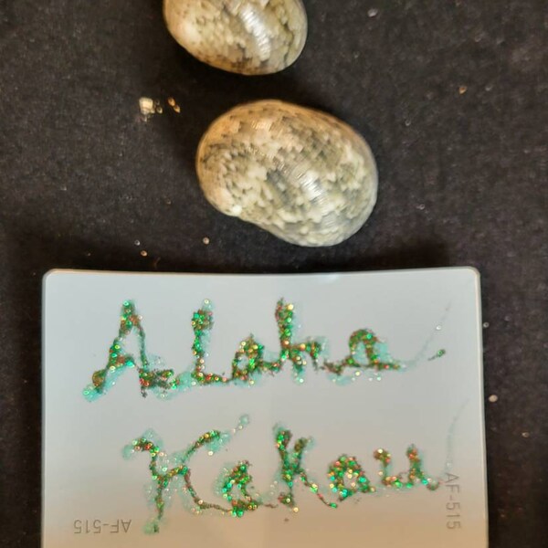 Laiki Miter Hawaiian Seashells Shells From Kauai - Etsy