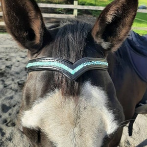 Diy Browband Empty Channel Leather Browband Make Your Own Browband Make ...