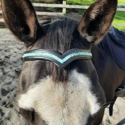 Diy Browband Empty Channel Leather Browband Make Your Own Browband Make ...