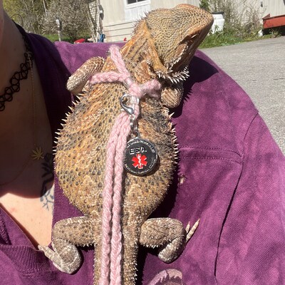 Rat Name Cage Decal for Rat Cage Custom Sign for Rat Cage Accessory for ...