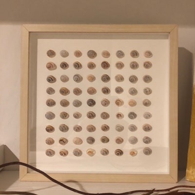 Humpback Whale Sea Shell College Art Mussel Shell Wall - Etsy